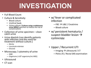 Urinary tract infections (UTI) & Renal vascular diseases | PPTX