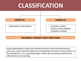 Urinary tract infections (UTI) & Renal vascular diseases | PPTX
