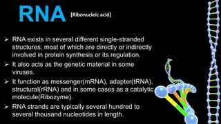 Introduction,Components, and Structure of DNA and RNA | PPTX