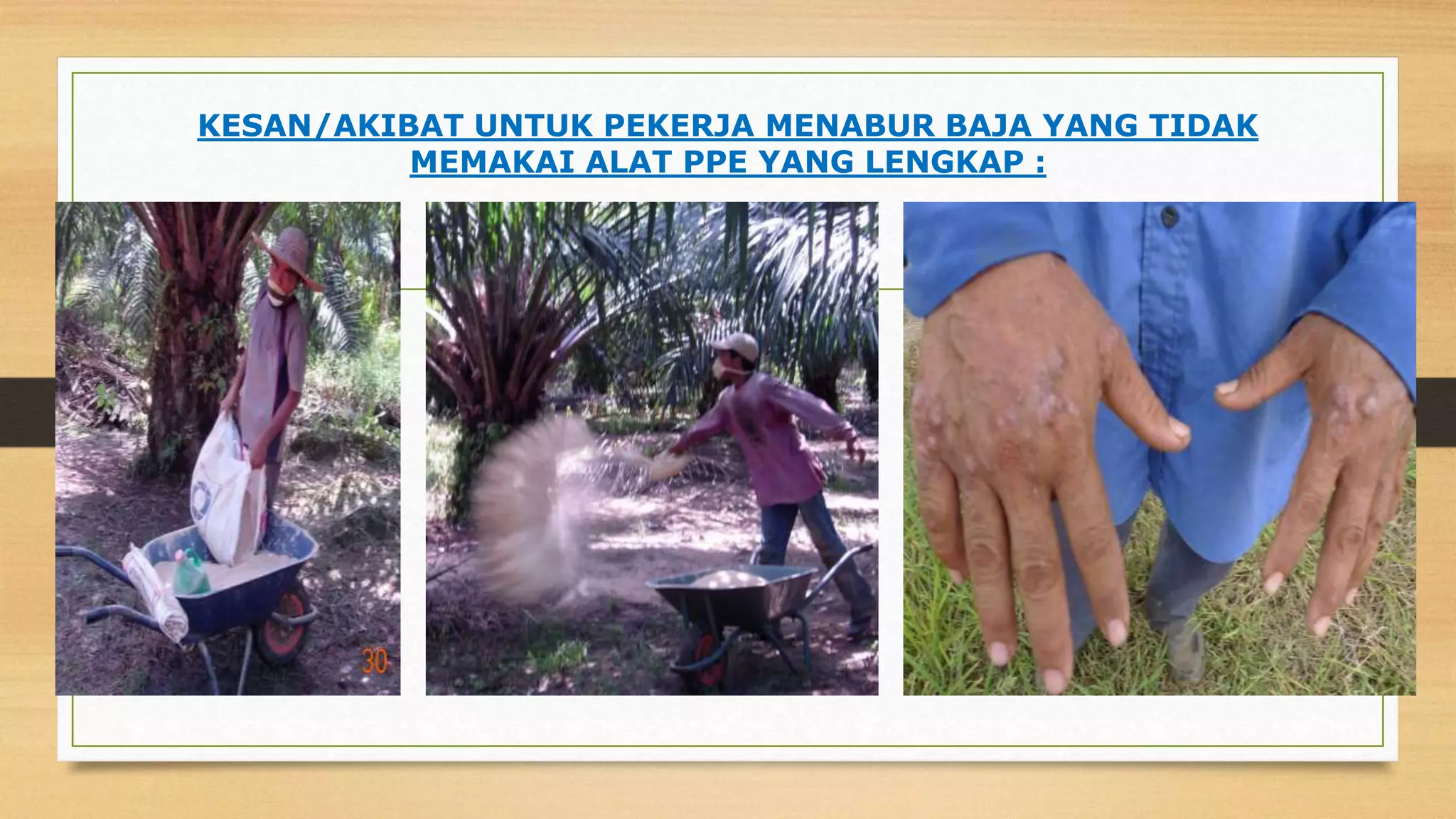 Safety Briefing For Workers in Oil Palm Plantation | PPTX