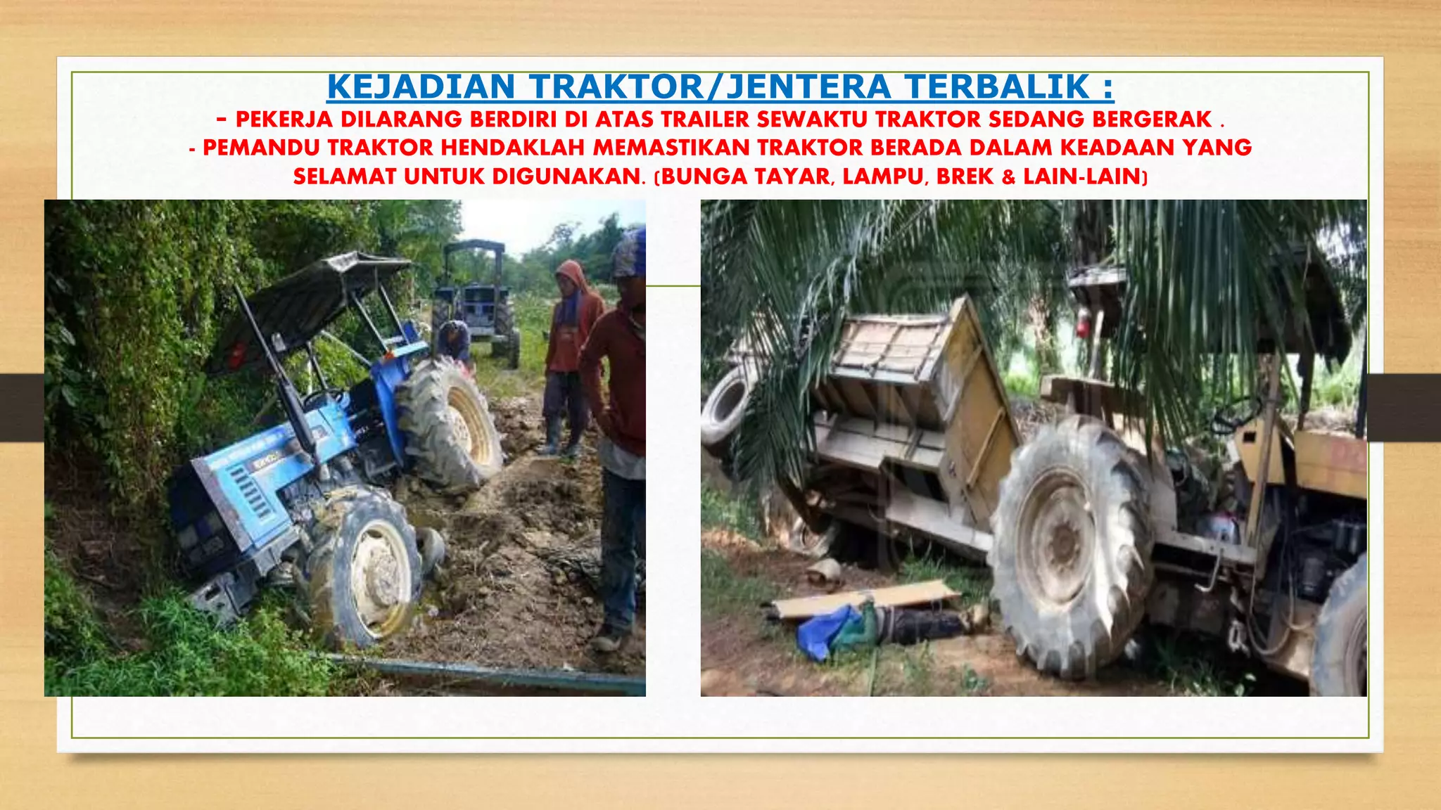Safety Briefing For Workers in Oil Palm Plantation | PPTX
