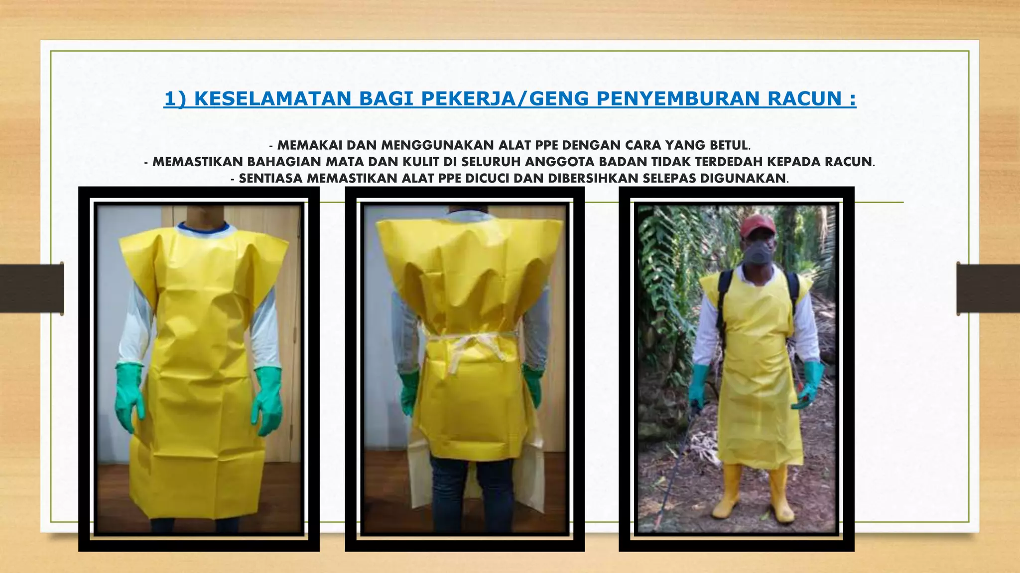 Safety Briefing For Workers in Oil Palm Plantation | PPTX