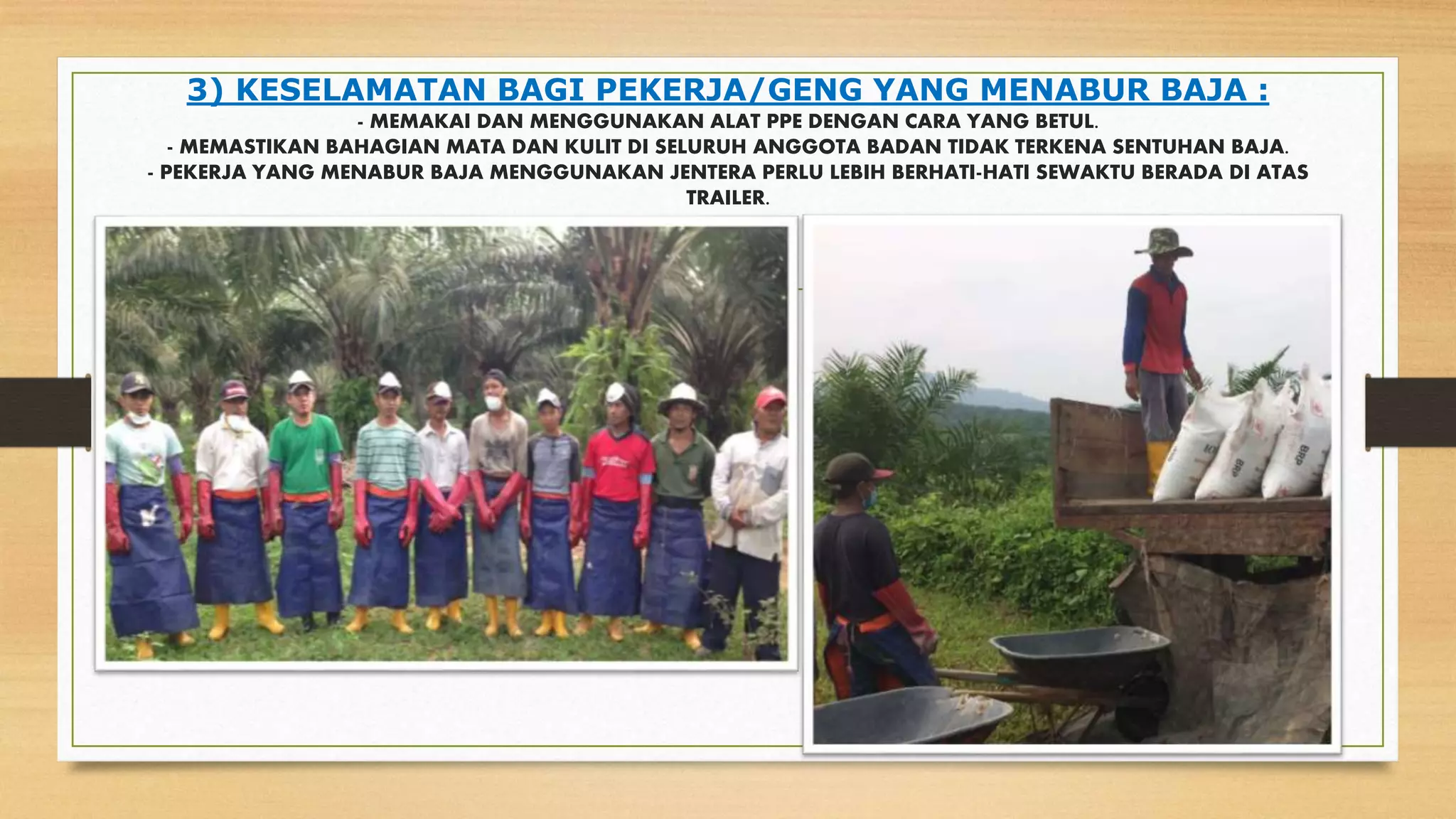 Safety Briefing For Workers in Oil Palm Plantation | PPTX