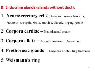 Glandular system | PPTX