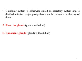 Glandular system | PPTX