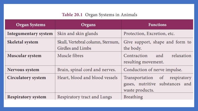 20. Pedagogy of Biological Science (Part II ) - Organ system in animals ...