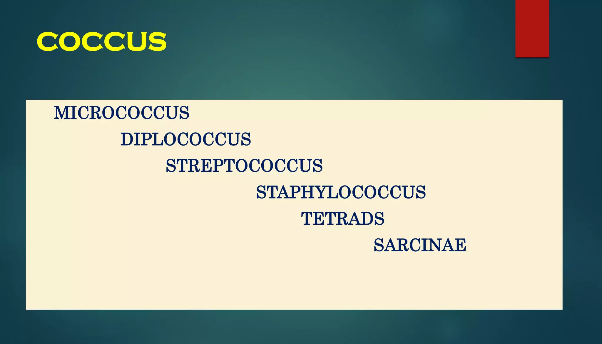 Morphology of bacteria | PPT
