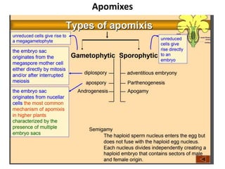 BREEDING METHODS FOR ASEXUALLY PROPAGATED SPECIES | PPTX