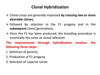 BREEDING METHODS FOR ASEXUALLY PROPAGATED SPECIES | PPTX
