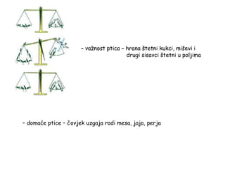 20. mo ptice - ppt | PPT