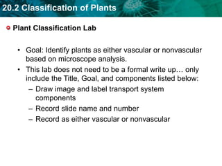 20.2 Classification of Plants.ppt