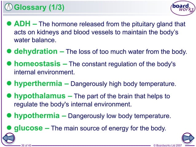 20. Homeostasis v1.0.ppt