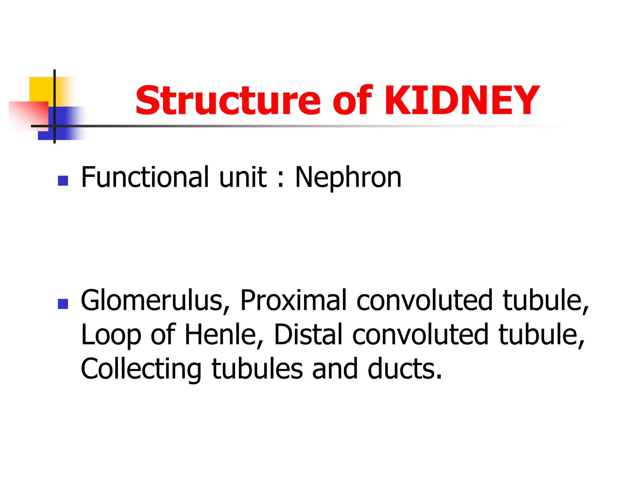 20.Diuretics & Antidiuretics.ppt