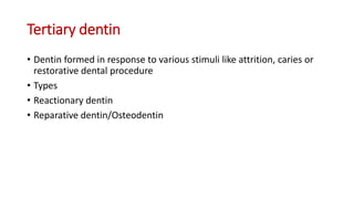 20.dentin.pptx