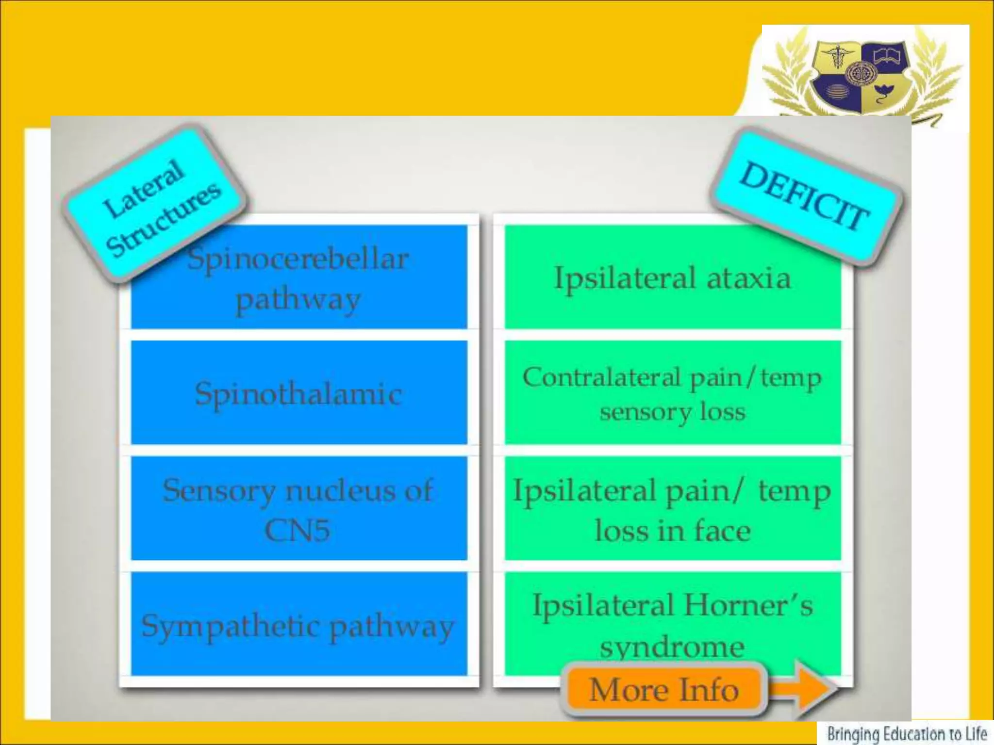 Brain Stem Lesions Anatomy and Physiology | PPTX