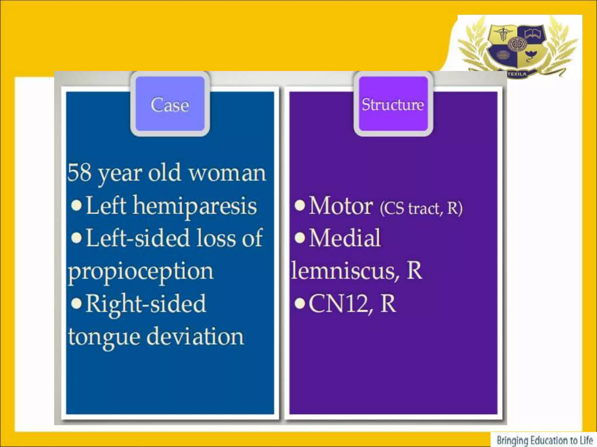 Brain Stem Lesions Anatomy and Physiology | PPTX