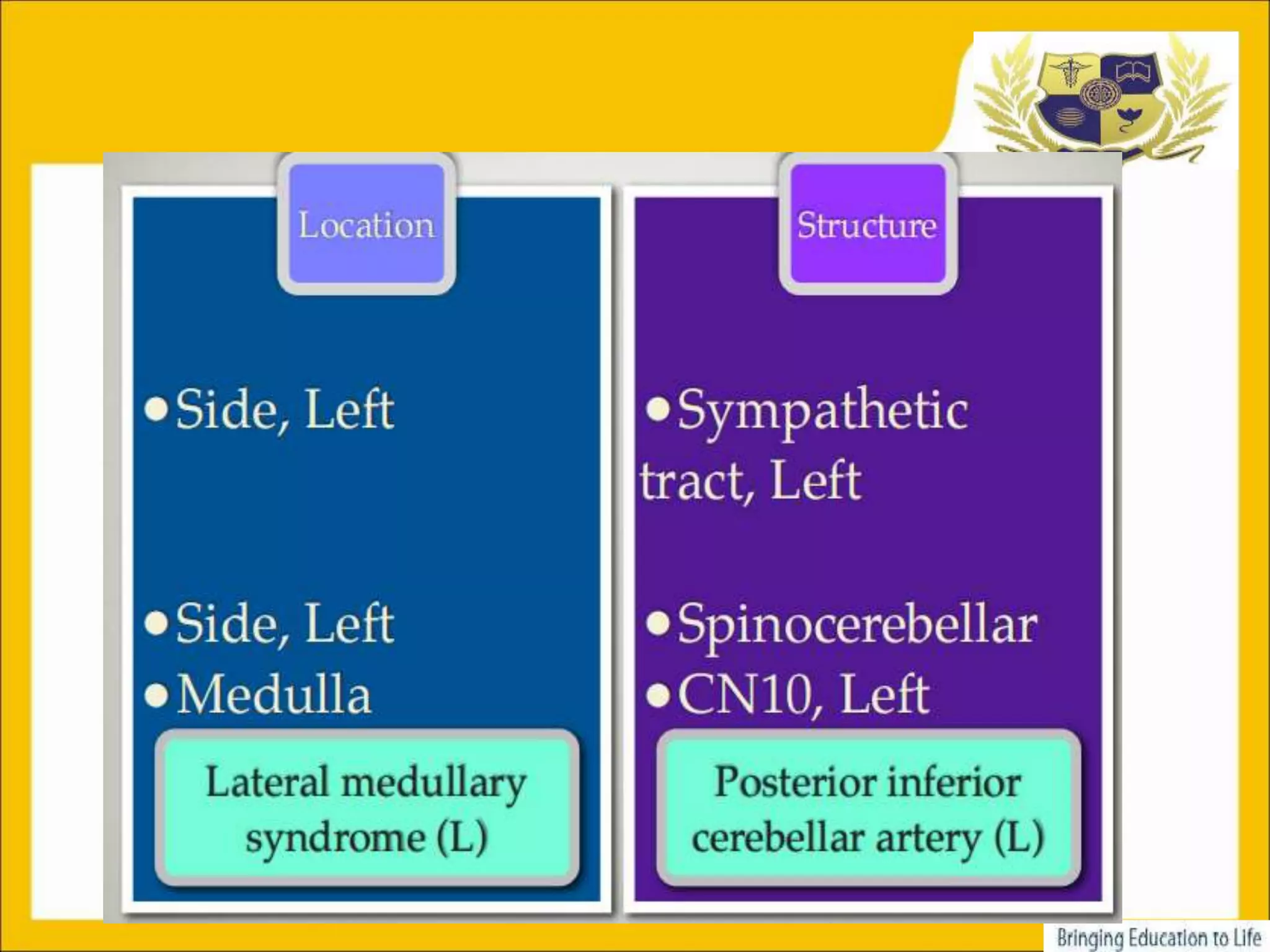 Brain Stem Lesions Anatomy and Physiology | PPTX