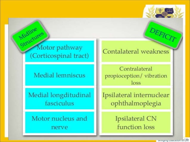 Brain Stem Lesions Anatomy and Physiology
