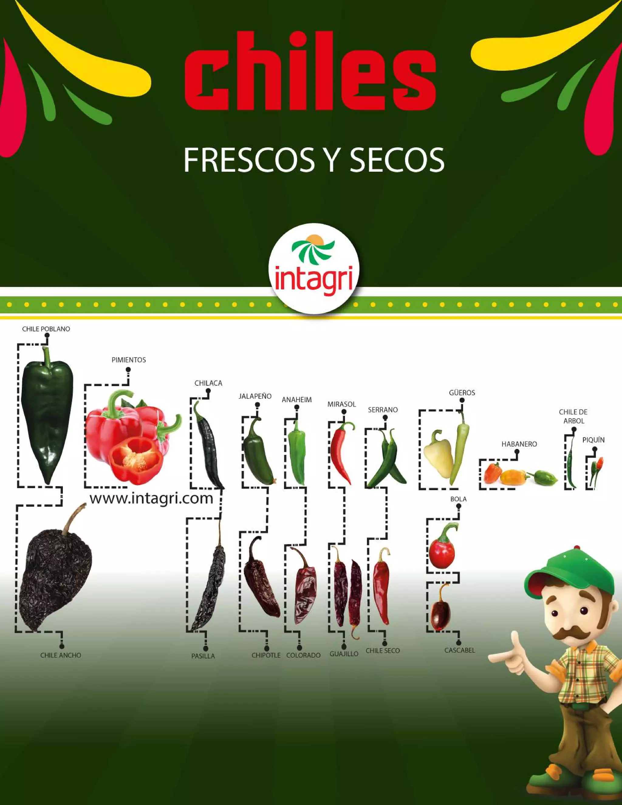 20. Tipos de Chiles.pdf