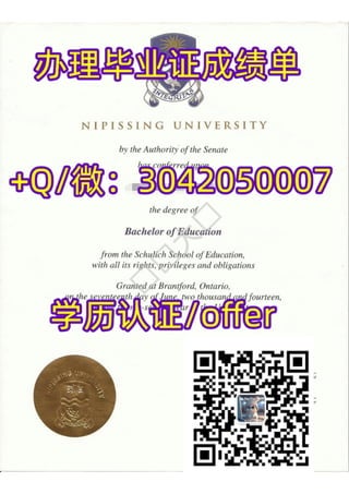20尼皮辛大学.pdf