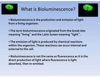 20. Bioluminescence in fungi.pdf