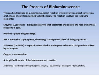 20. Bioluminescence in fungi.pdf
