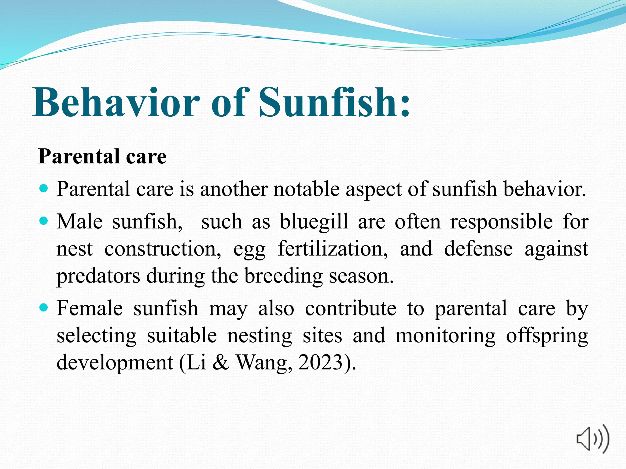 Sunfish: Introduction, Morphology & it's Characteristics. | PPTX