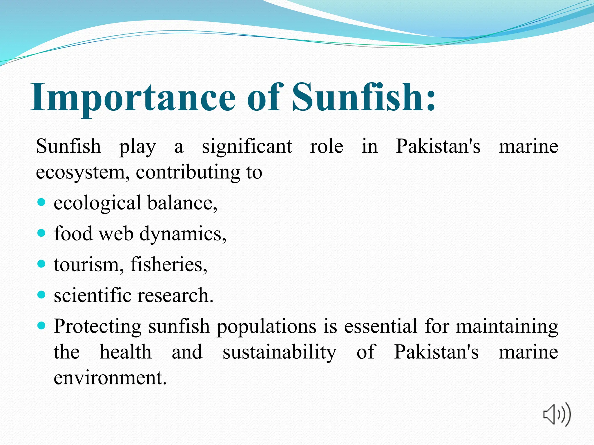 Sunfish: Introduction, Morphology & it's Characteristics. | PPTX