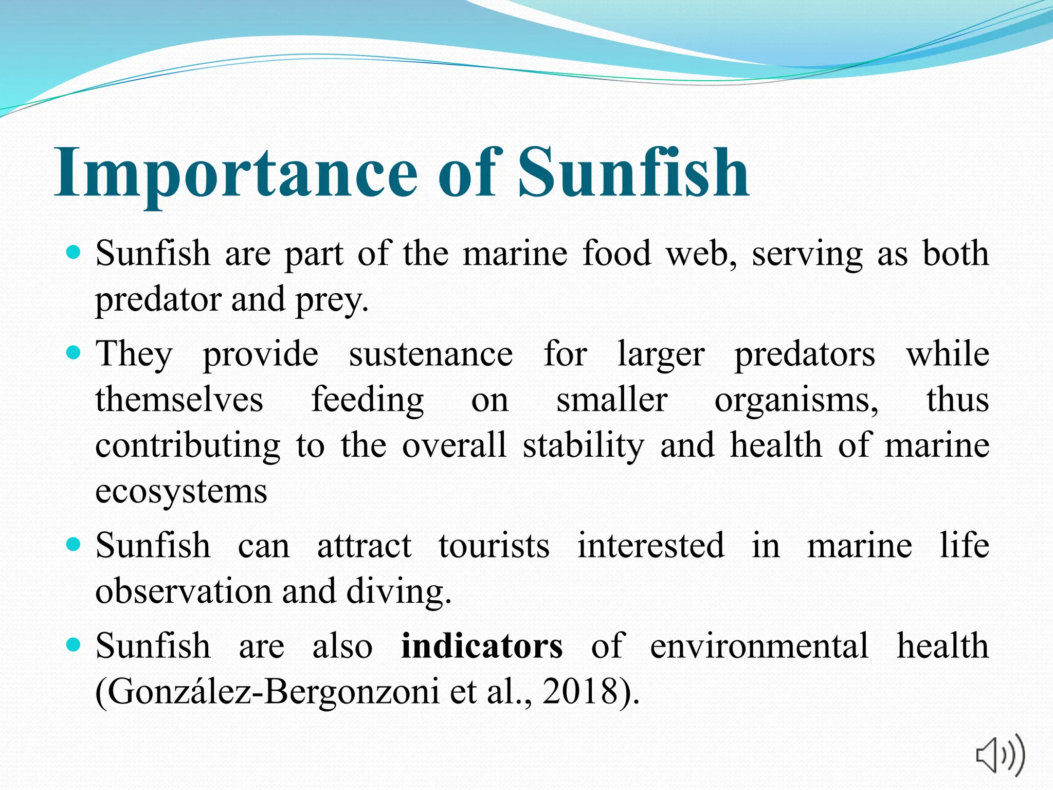 Sunfish: Introduction, Morphology & it's Characteristics. | PPTX