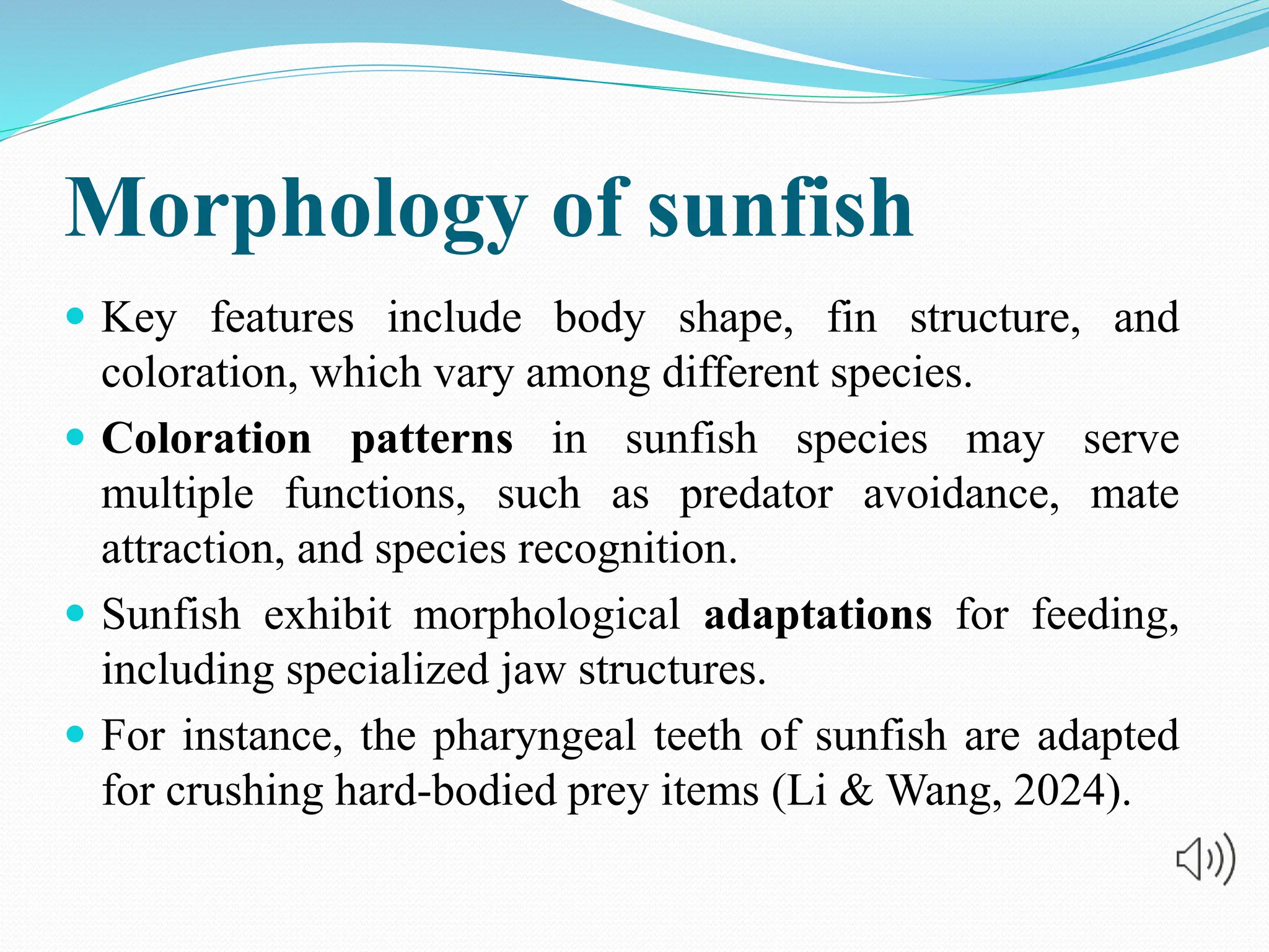 Sunfish: Introduction, Morphology & it's Characteristics. | PPTX