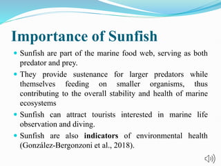 Sunfish: Introduction, Morphology & it's Characteristics. | PPTX