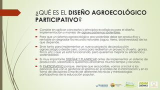 Proyecto nutrición agroecosistemas de montaña NAM JULIO.pdf