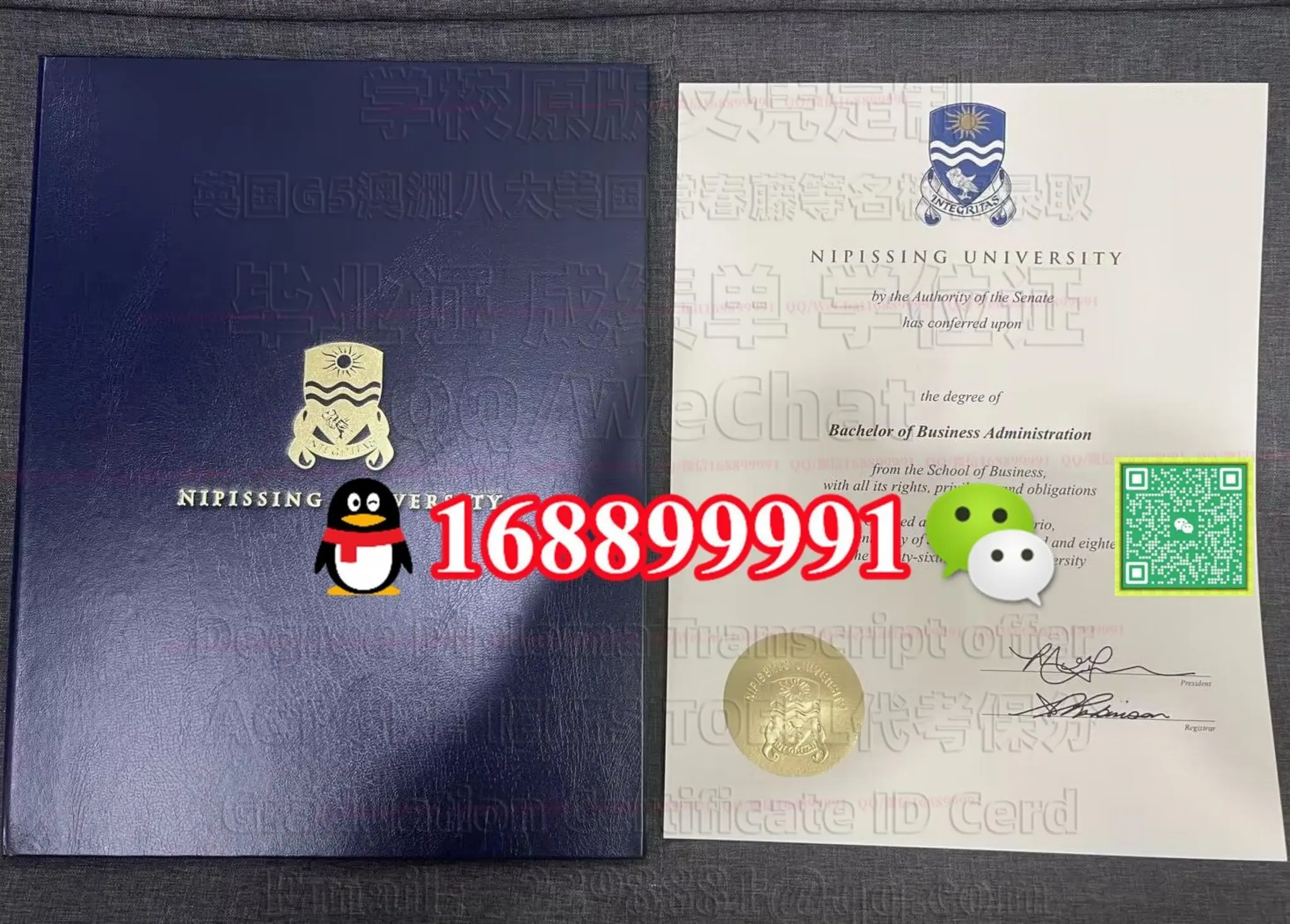 Nipissing University degree offer diploma Transcript | PDF