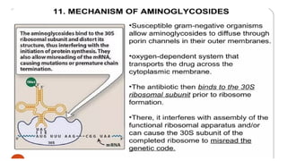 DPT - Biochemistry & Genetics - II (Molecular Biology) Translation ...