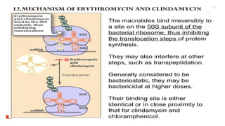 DPT - Biochemistry & Genetics - II (Molecular Biology) Translation ...
