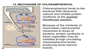 DPT - Biochemistry & Genetics - II (Molecular Biology) Translation ...