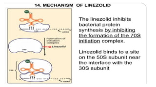 DPT - Biochemistry & Genetics - II (Molecular Biology) Translation ...