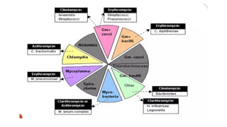 DPT - Biochemistry & Genetics - II (Molecular Biology) Translation ...