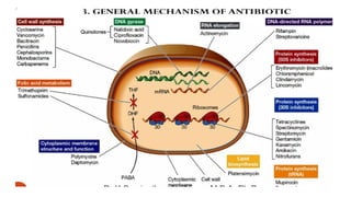 DPT - Biochemistry & Genetics - II (Molecular Biology) Translation ...