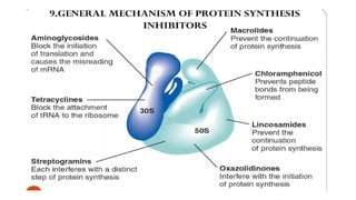 DPT - Biochemistry & Genetics - II (Molecular Biology) Translation ...