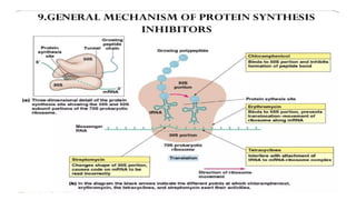 DPT - Biochemistry & Genetics - II (Molecular Biology) Translation ...