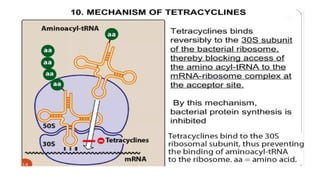 DPT - Biochemistry & Genetics - II (Molecular Biology) Translation ...