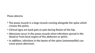 20. Thoracic Empyema and Abscesses (2).pptx