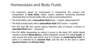 Human physiology: introduction to Homeostatsis | PPTX