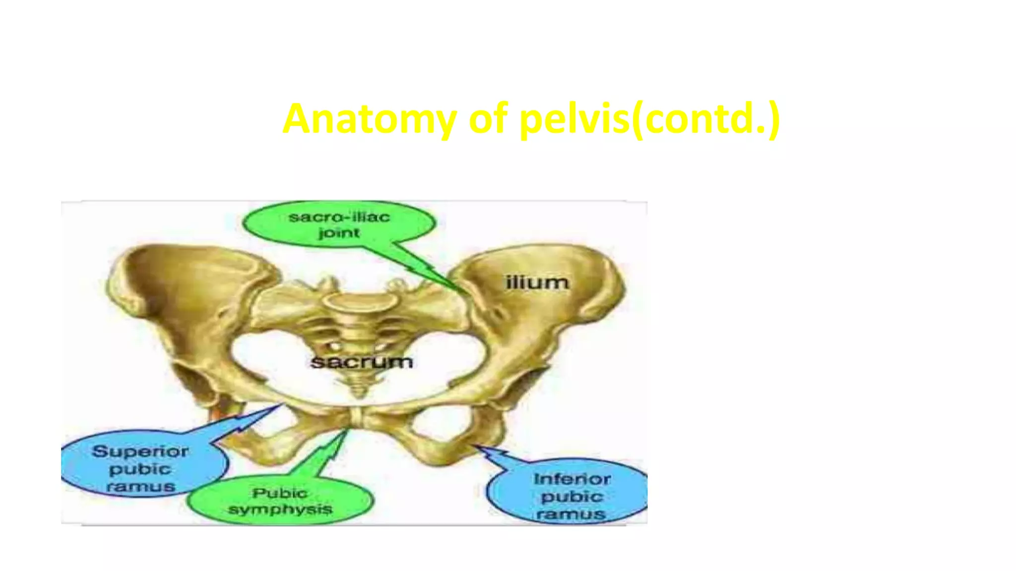 classification of pelvic fracture | PPTX