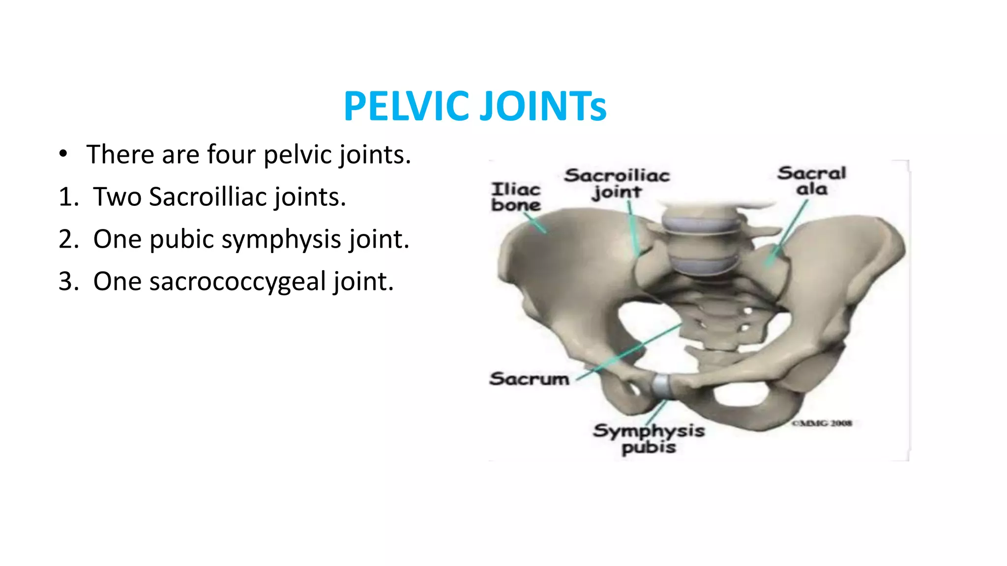 classification of pelvic fracture | PPTX