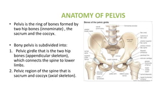 classification of pelvic fracture | PPTX