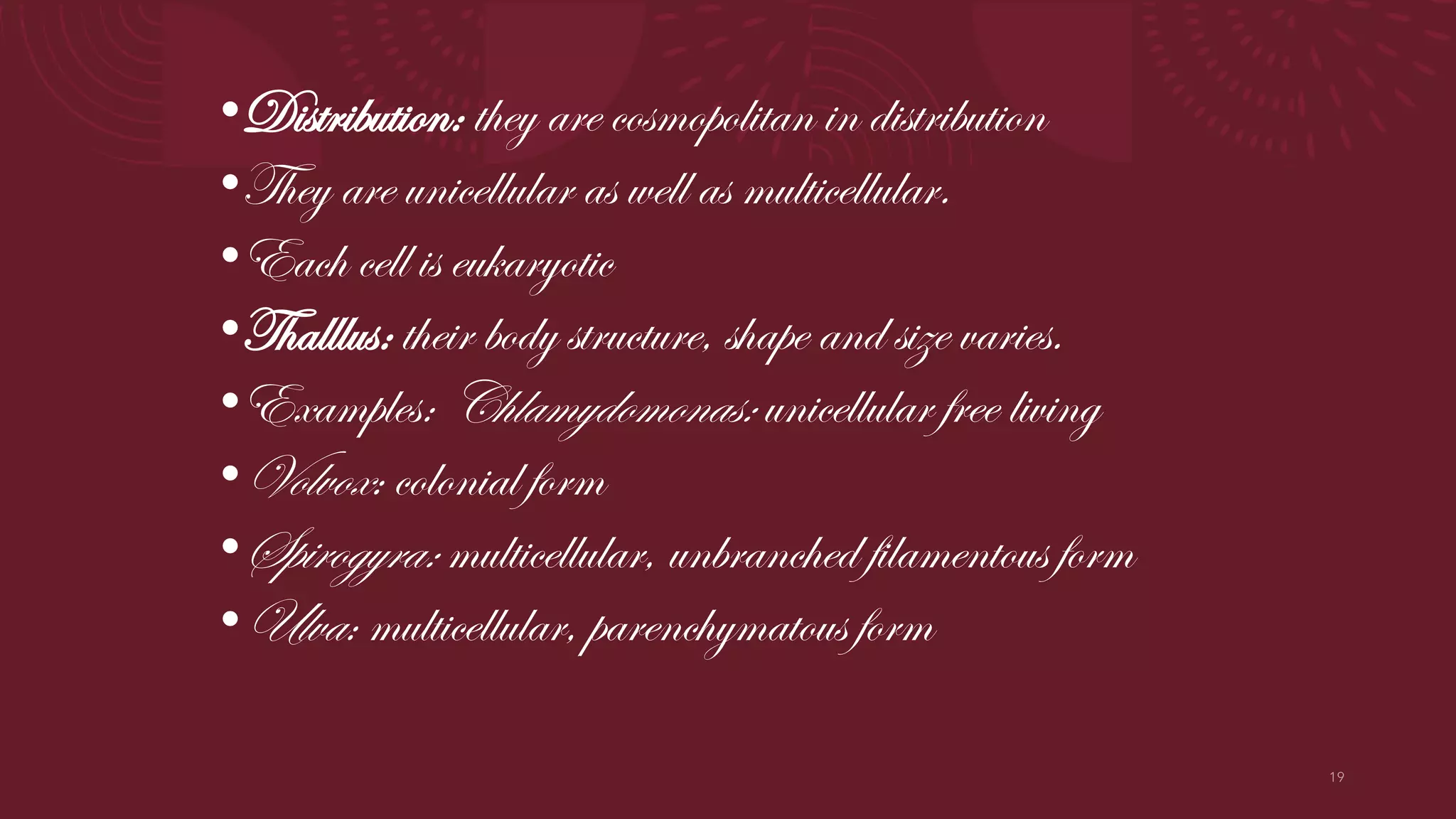 Morphological organization and cell structure of Micro-organisms. | PDF