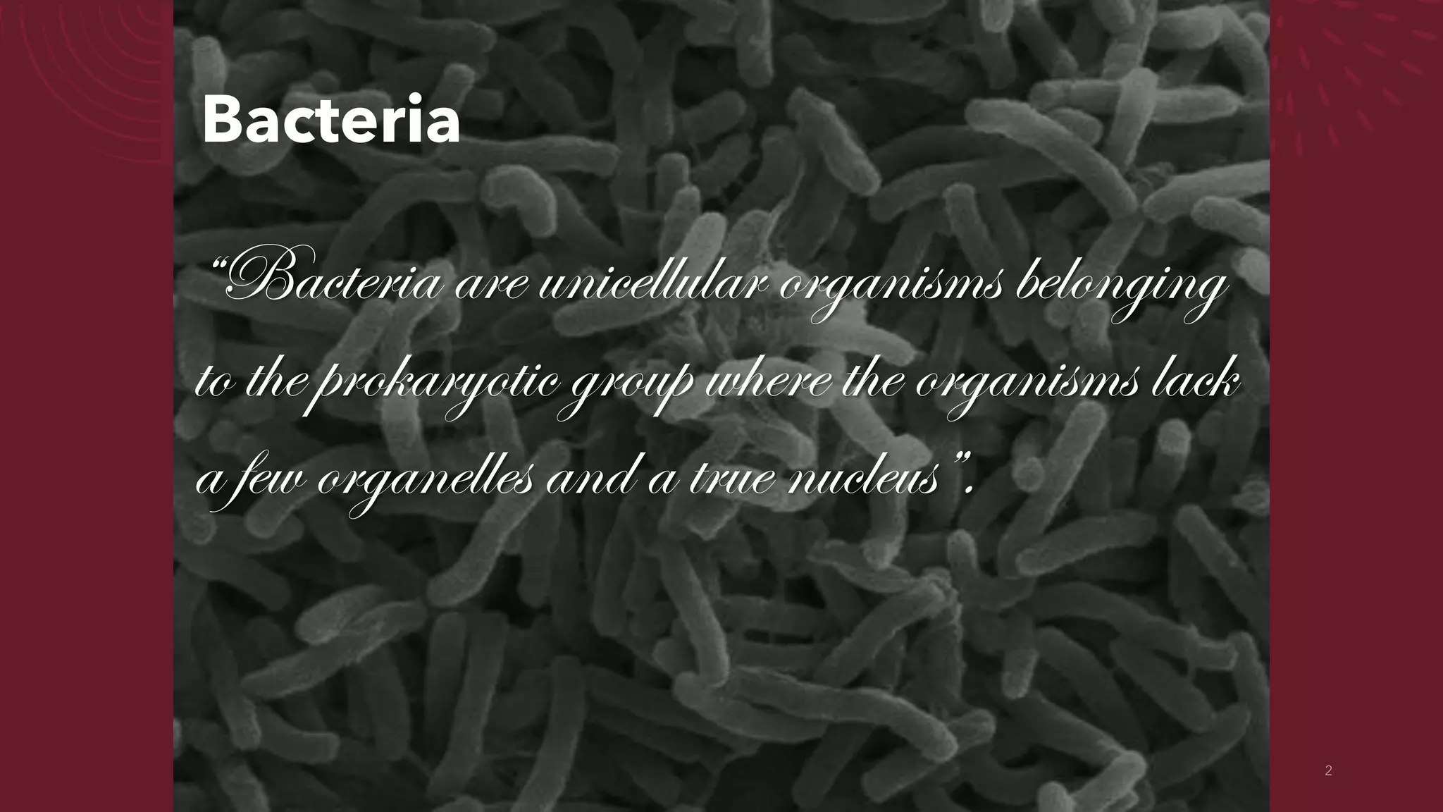 Morphological organization and cell structure of Micro-organisms. | PDF