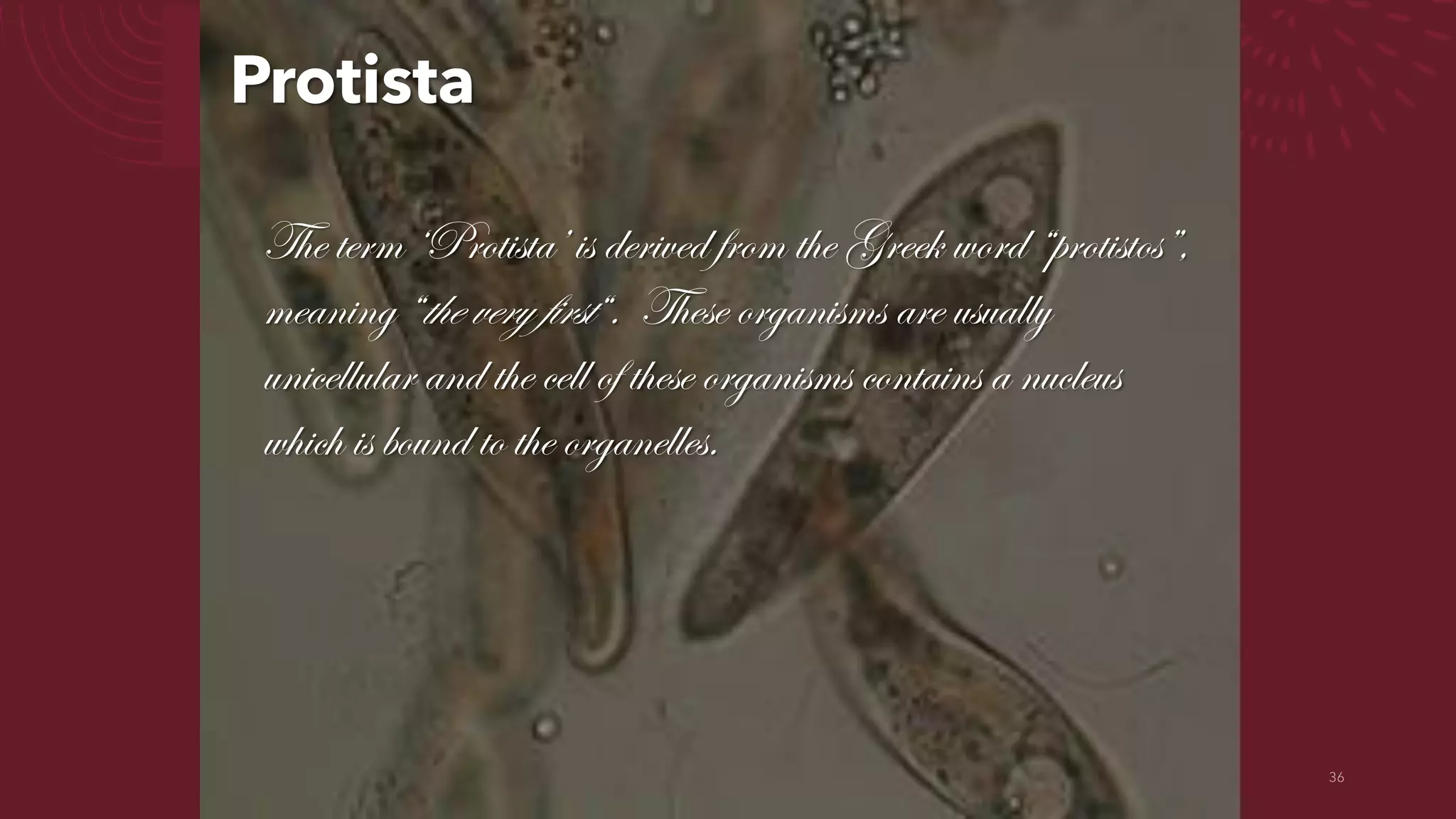 Morphological organization and cell structure of Micro-organisms. | PDF